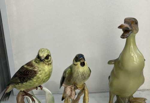 Птица статуэтка Rosenthal