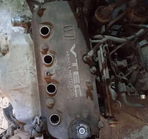 Двигатель honda одиссей f23a