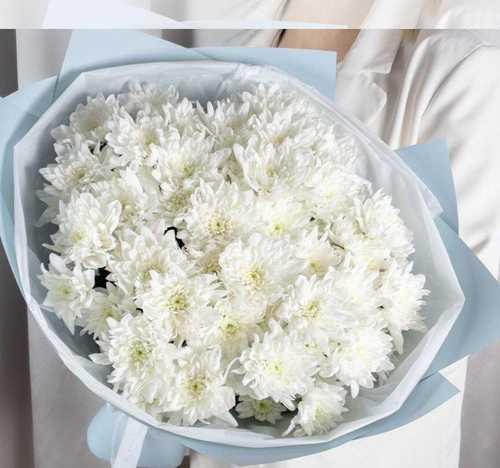 Цветы. Букет из хризантемы с доставкой в Омске