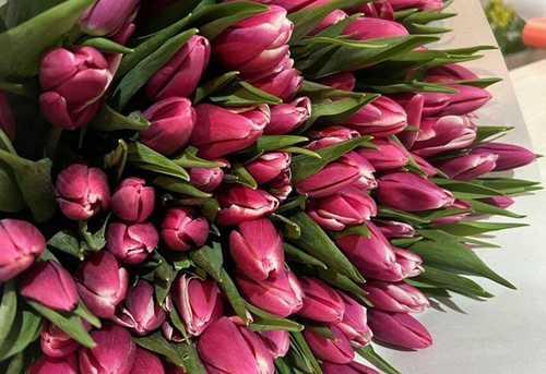Тюльпаны к 8 марта оптом розовые белые