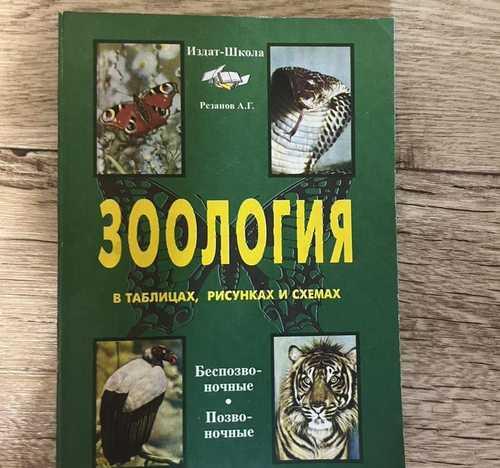 Зоология в таблицах, рисунках и схемах