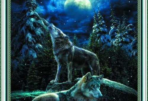 Алмазная мозаика 40x50 Волки на камнях под свет лу