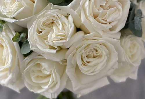 Свадебный букет, букет невесты, пионовидные розы