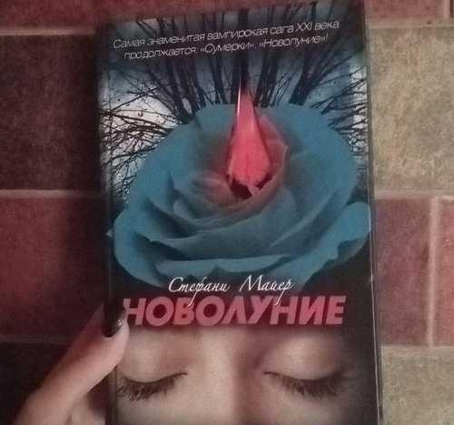 Книги по Сумеркам