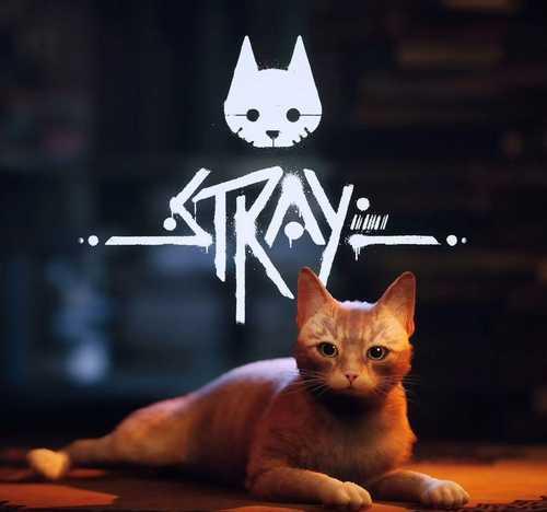 Игра Stray для Пк в Steam / для PlayStation 4&5