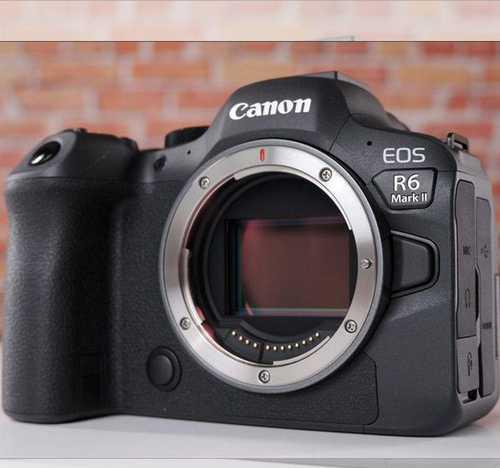 Фотоаппарат canon eos r body