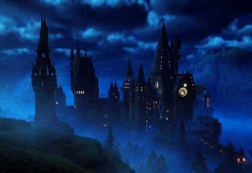Hogwarts Legacy PS4 PS5 на русском Краснотурьинск