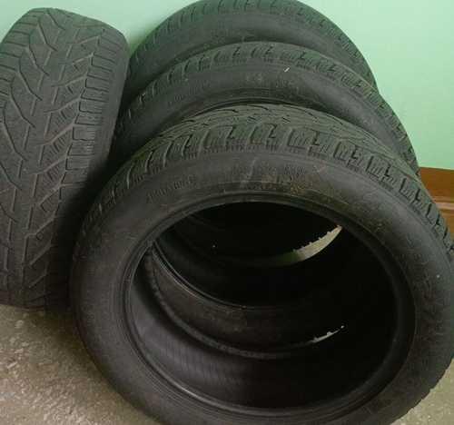 Tigar Winter 215/55 R17 98