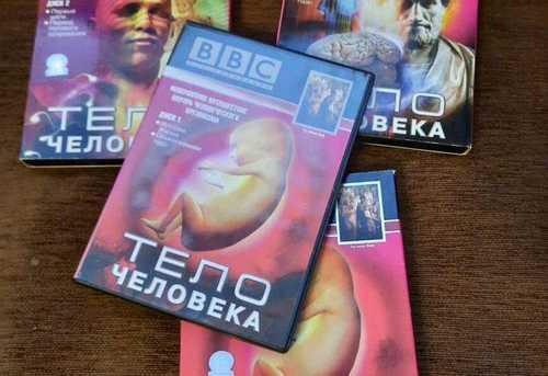 DVD тело человека