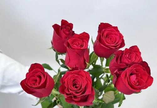 Небольшой букет 7 красных роз