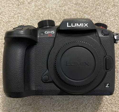 Panasonic GH5S Body 5к русский язык