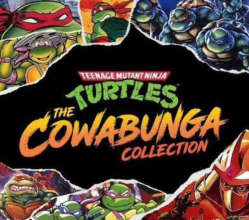 Teenage Mutant Ninja Turtles: The Cowabunga PS4 5