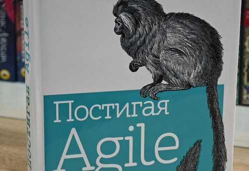 Постигая Agile Эндрю Стеллман и Дженнифер Грин