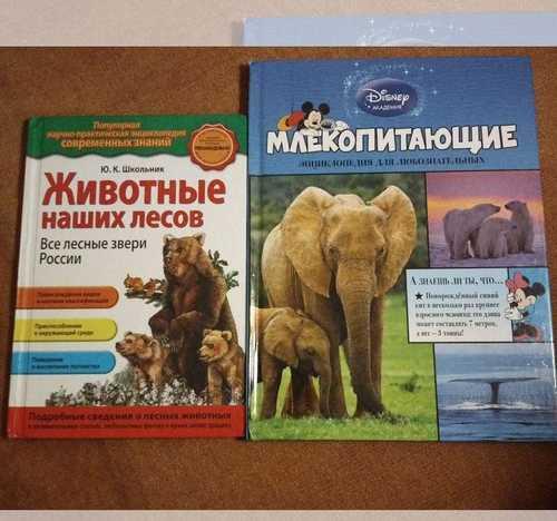 Развивающие книги