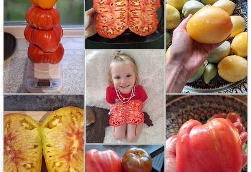 Семена сорт. крупноплодных коллекционных томатов