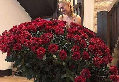 Метровые розы Доставка цветов