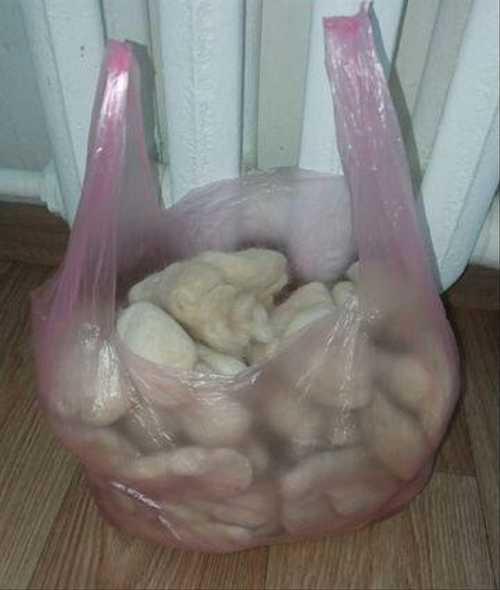 Собачья шерсть