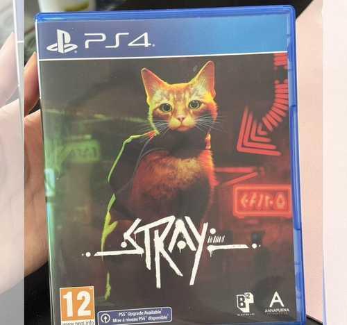 Stray ps4