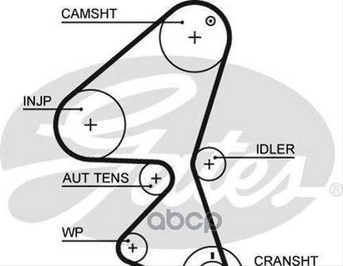 Зубчатый ремень привода грм PowerGrip 5587XS G