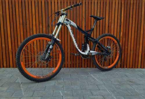 Norco aurum L.E