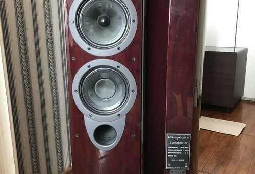 Акустическая система Wharfedale Evolution 2