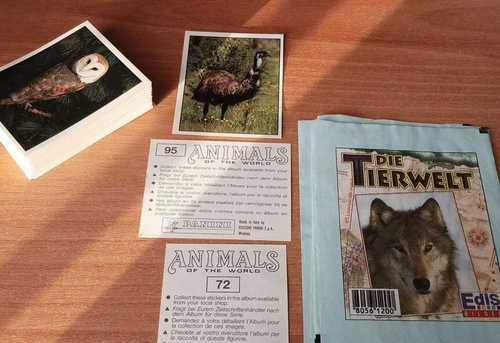 Наклейки Animals of the world Edis, Panini 90-е