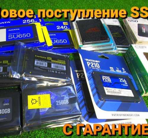 Новые SSD диски 240/256Gb, с гарантией