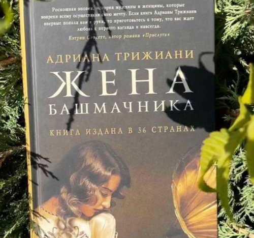 Книга Жена башмачника