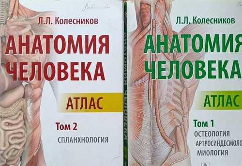 Атлас Анатомия человека Колесников