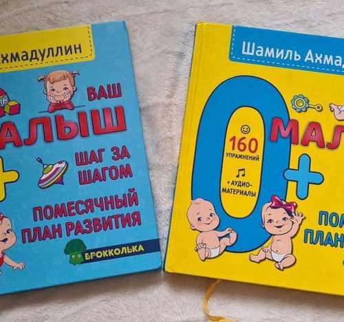 Книги Ахмадулин Шамиль