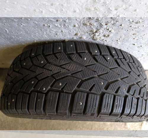 Gislaved NordFrost 100 205/55 R16