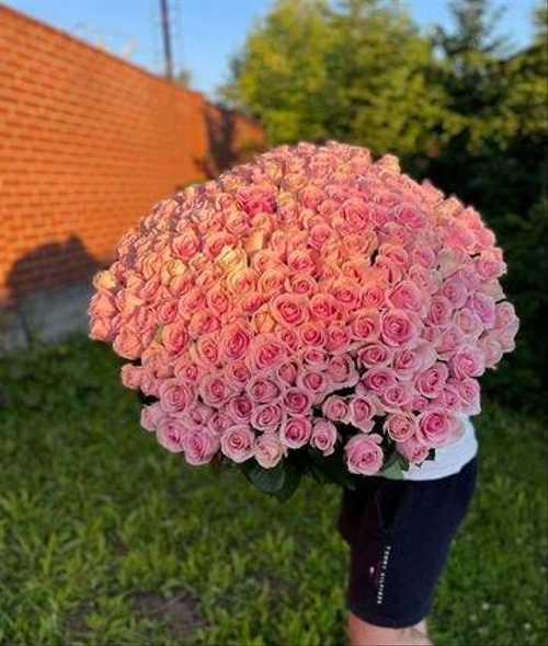 Цветы розовые розы 80 см, букет 201 роза
