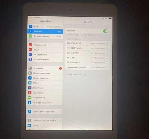 iPad mini