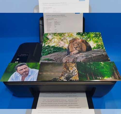 Принтер цветной мфу HP Deskjet 2520hc не лазерный