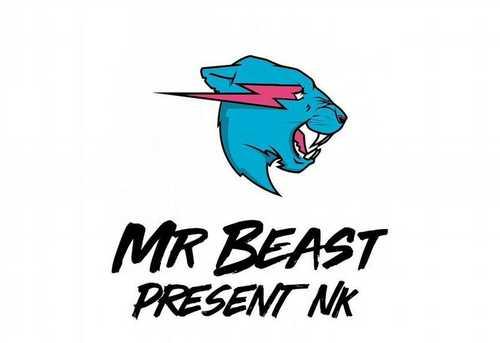 Подарочный набор "Mr.Beast"