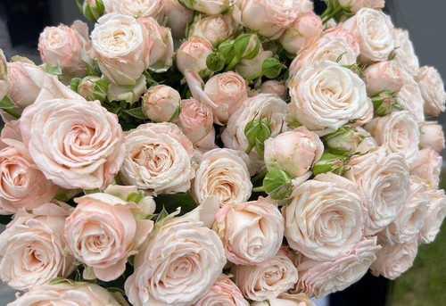 Кустовая Роза Букет из кустовых роз