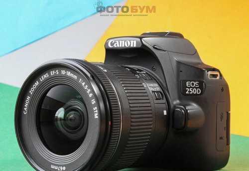 Canon 250D body + Canon EF-S 10-18mm IS STM