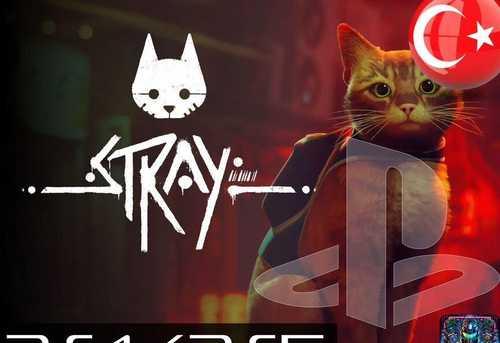 Игра Stray PlayStation 4/5