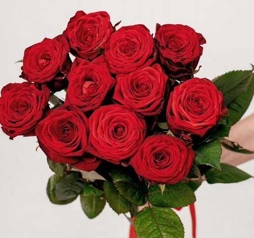 Моно букет 11 красных роз под ленту