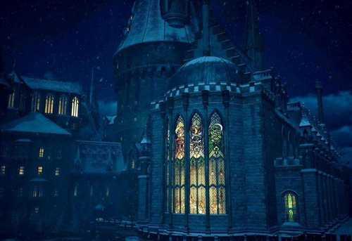 Hogwarts Legacy PS5 & PS4 standard Красноярск