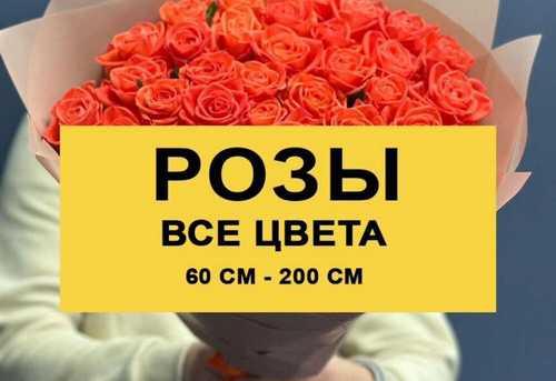 Букет из розы с доставкой 25 101 501 1001 курьером