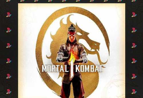 Mortal Kombat 1/11 для PS5/PS4 no-4658