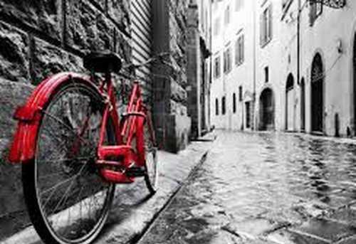 Картина по номерам "Красный велосипед" ZX 20932
