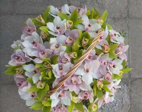 Доставка цветов, корзина орхидей