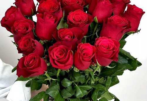 Розы красные Букет из 25 роз