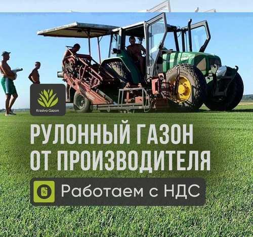 Рулонный газон для плодородной почвы