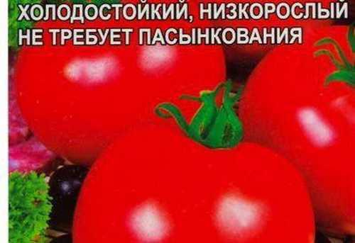 Рассада помидор (томатов)