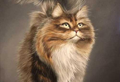 Картина маслом «Кошка»