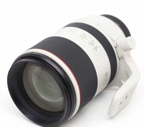 Canon RF 70-200mm F2.8L IS USM (2065)