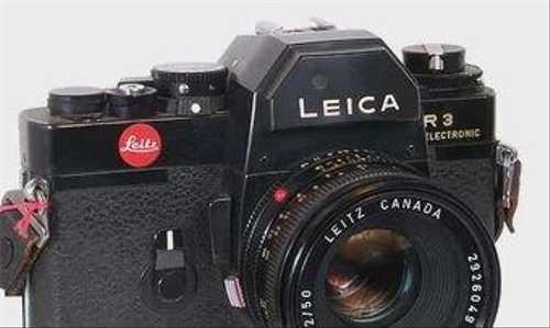 Leica R3-R9 напрокат